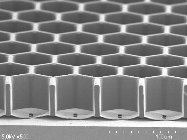 SIEVEWELL™ – High Density Cell Arraying Device
