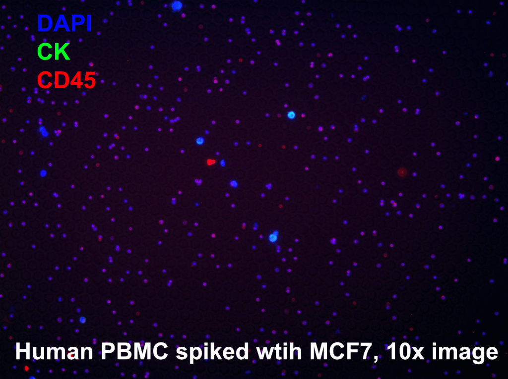 On Chip Ctc Staining Detection Sievewell™