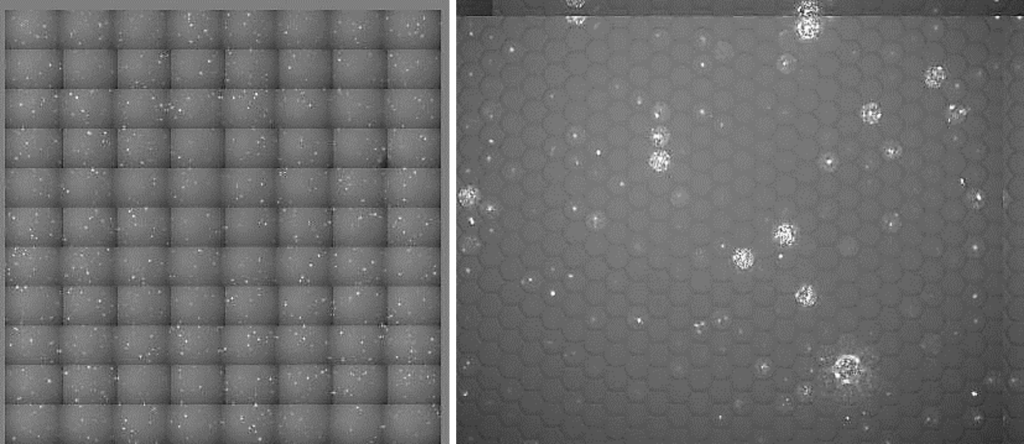B Cell Screening for Antibody Discovery – SIEVEWELL™